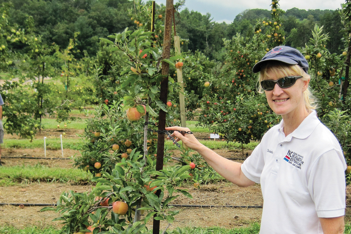 Learn the history of agriculture in Macon County