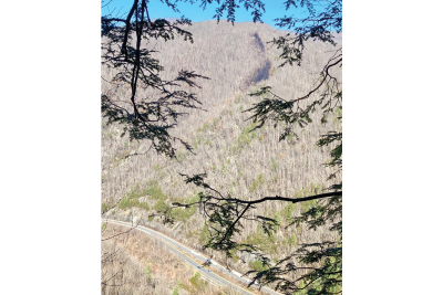 Last WNC wildfires contained