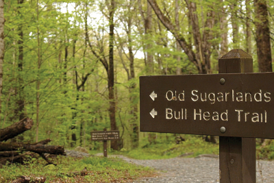 Rehab of Bullhead Trail to LeConte continues